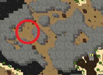 Assassin Outfit Quest - Medivia Online Wiki