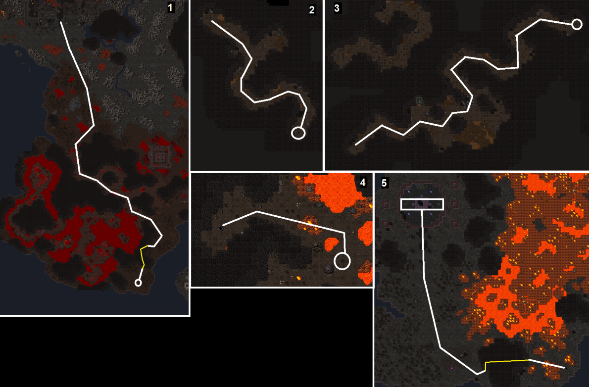 The Library - Medivia Online Wiki