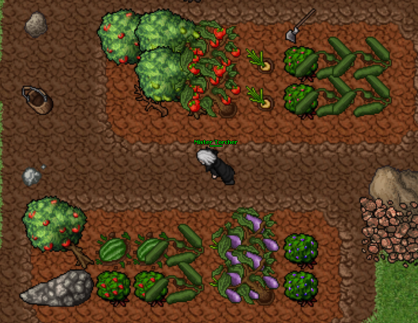 Farming - Medivia Online Wiki