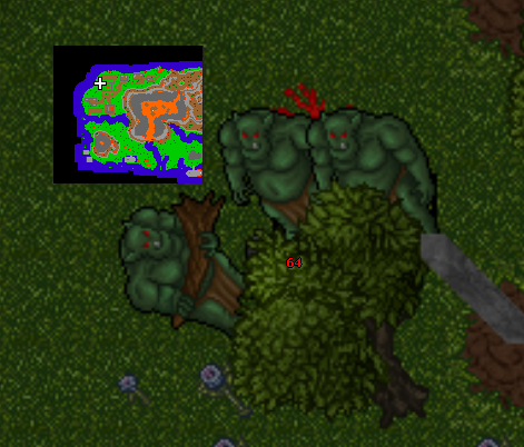 Bouquet - Medivia Online Wiki