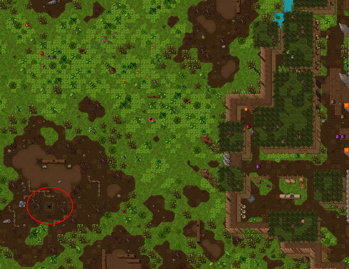 West Ant Cave - Medivia Online Wiki